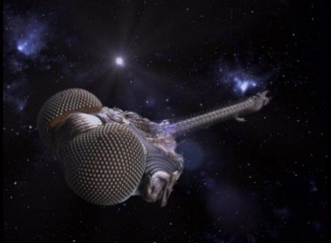 John Kenneth Muir's Reflections on Cult Movies and Classic TV: The Cult ...