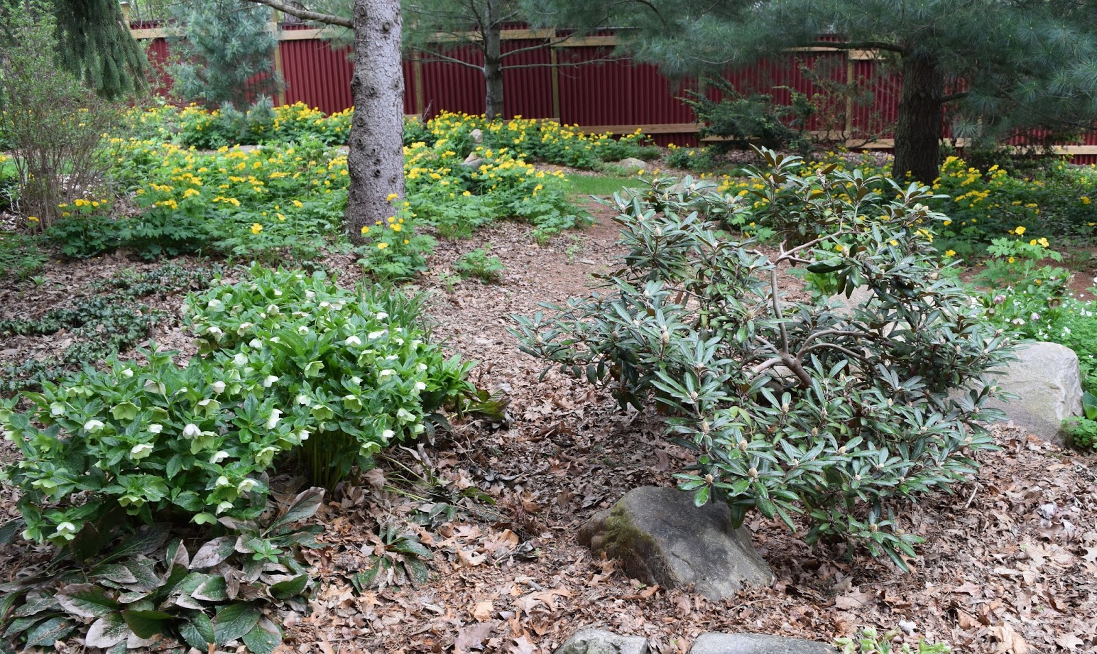 Prairiebreak: A perfect rock garden