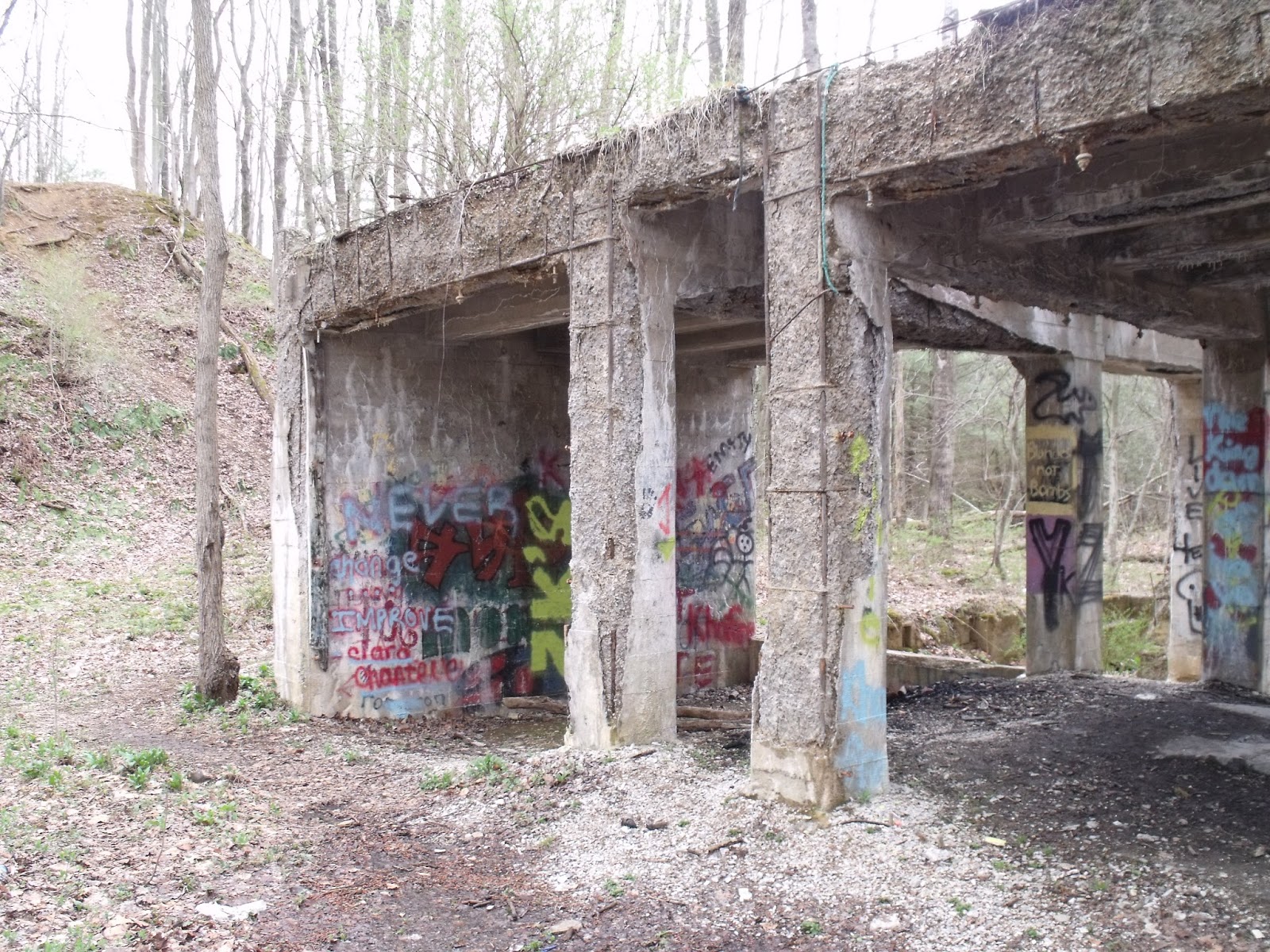 Discovery PA: Scotia Barrens & The Black Ghost