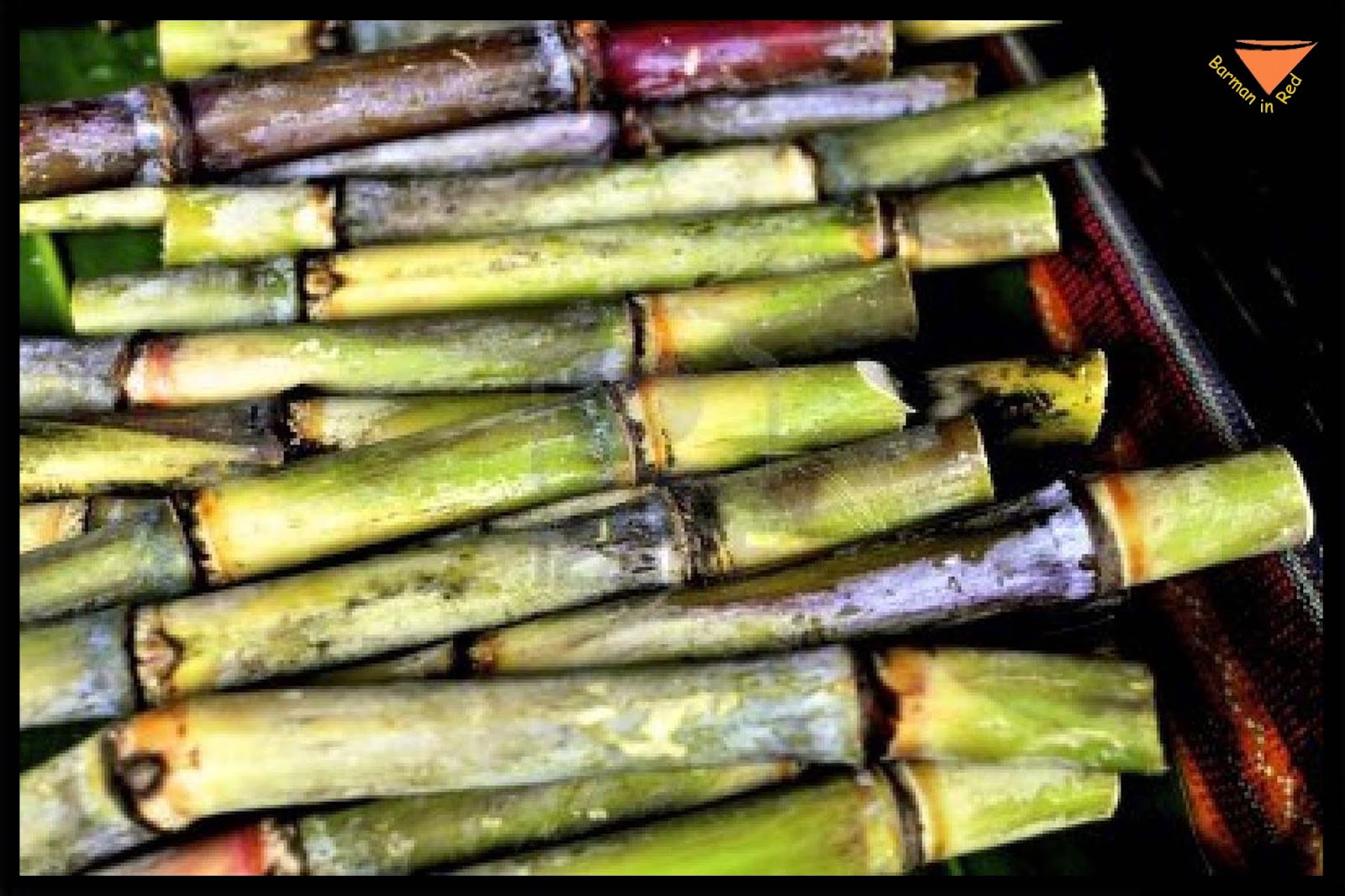 El Ron, origen, notas históricas, destilación, tipos de ron, etc.