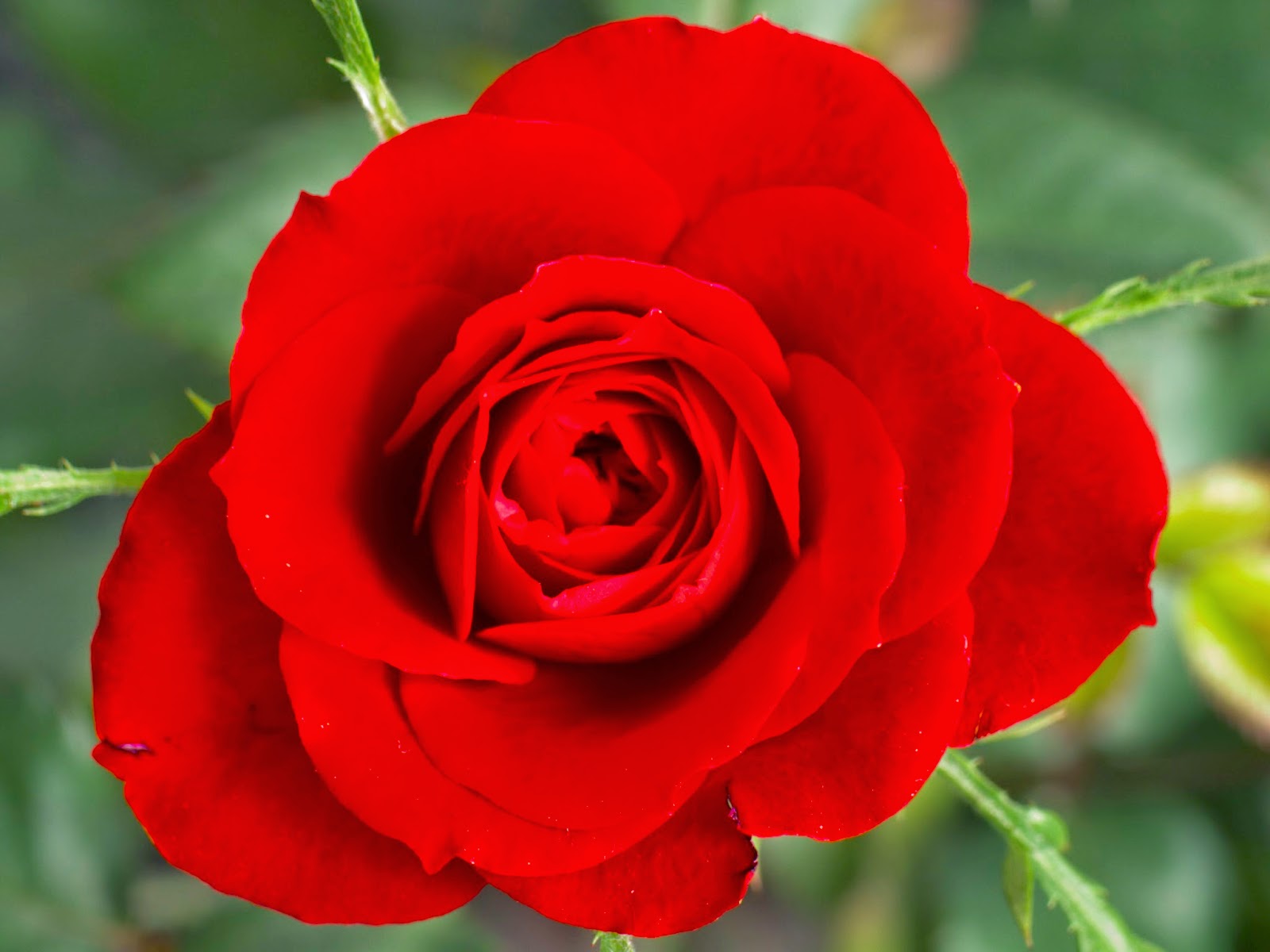 Enjoy Revit: When a Man Loves Revit