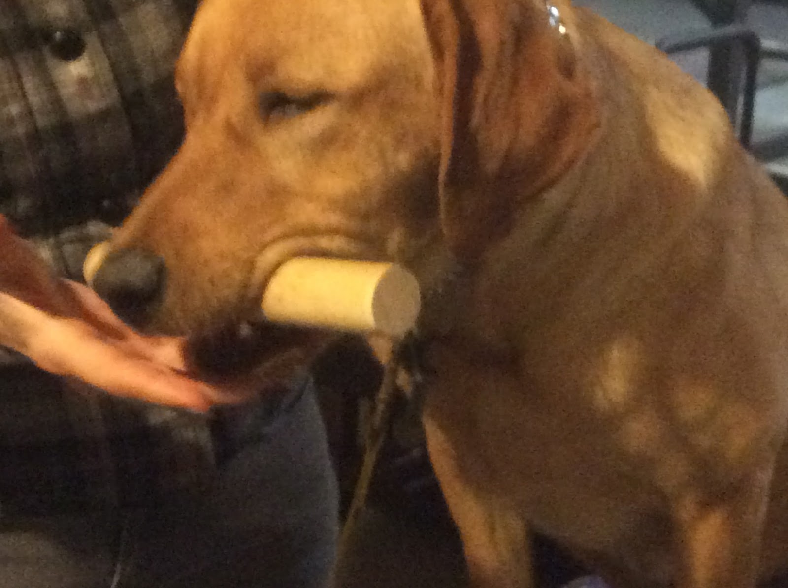 RTP Fall Into Retrieve 2022: Retrieve Course 2018 Lesson 1: The 'Fetch ...