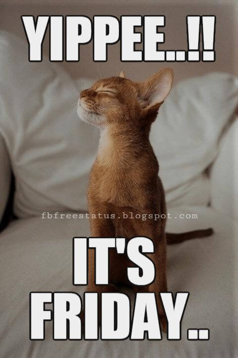 Happy Friday Quotes To Be Happy on Friday Morning