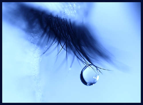 Dawn Aldrich ~ Author & Blogger: Holy Tears