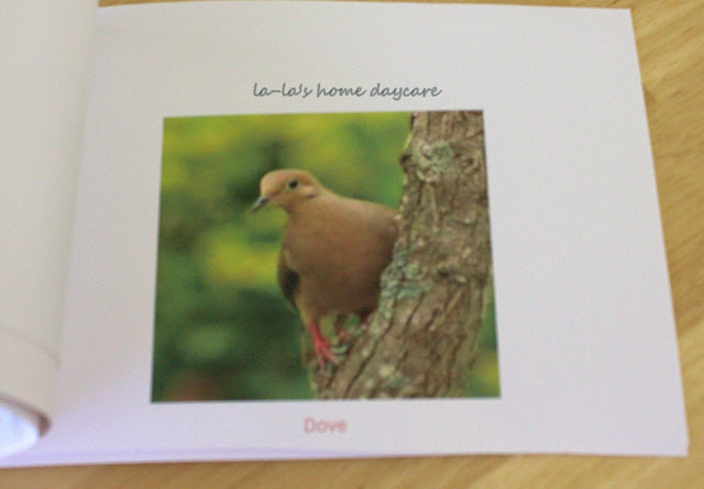 La-La's Home Daycare: Spring Theme | Bird Unit