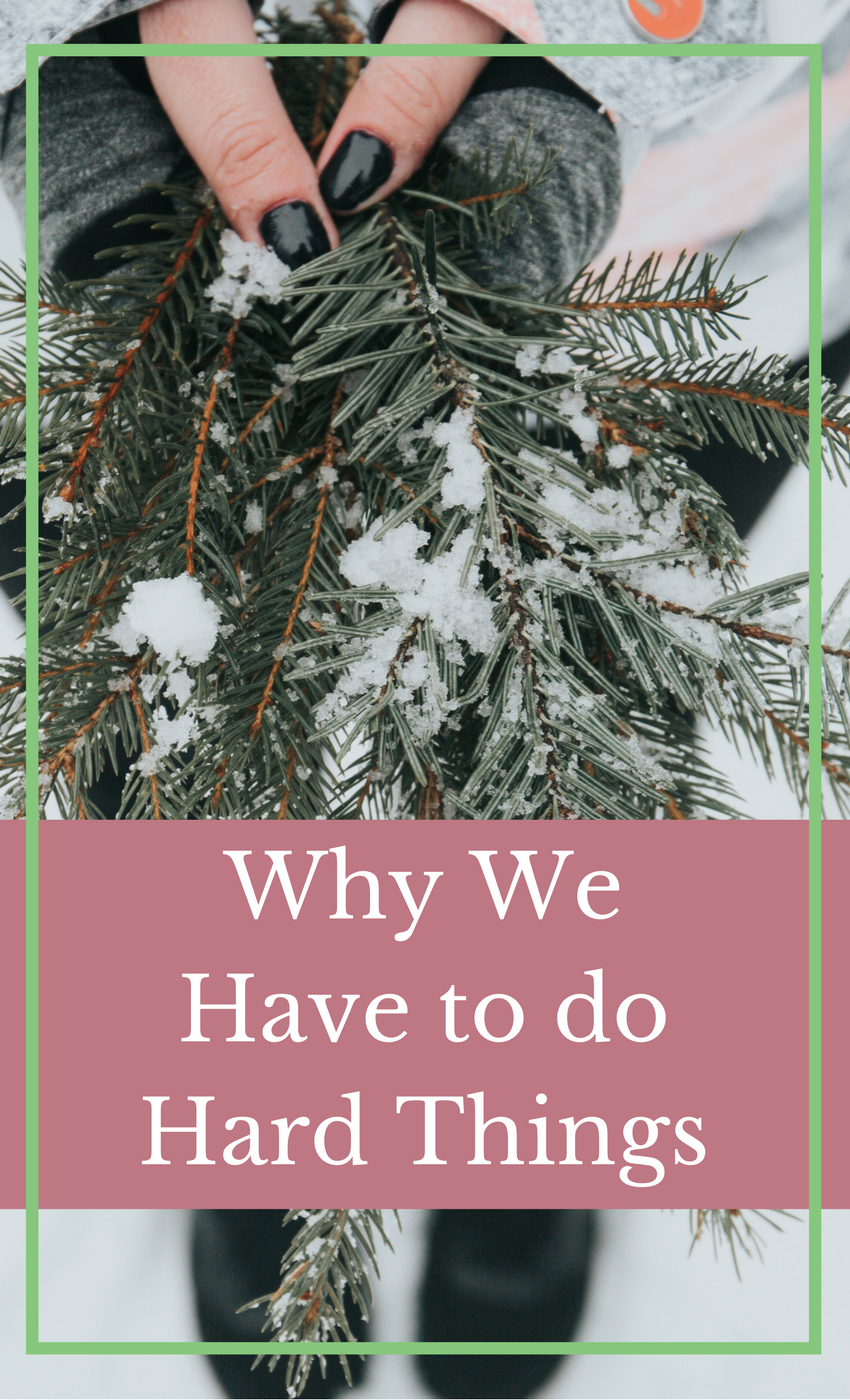Why We Have to Do Hard Things {Guest Post} | The Speckled Goat: Why We ...