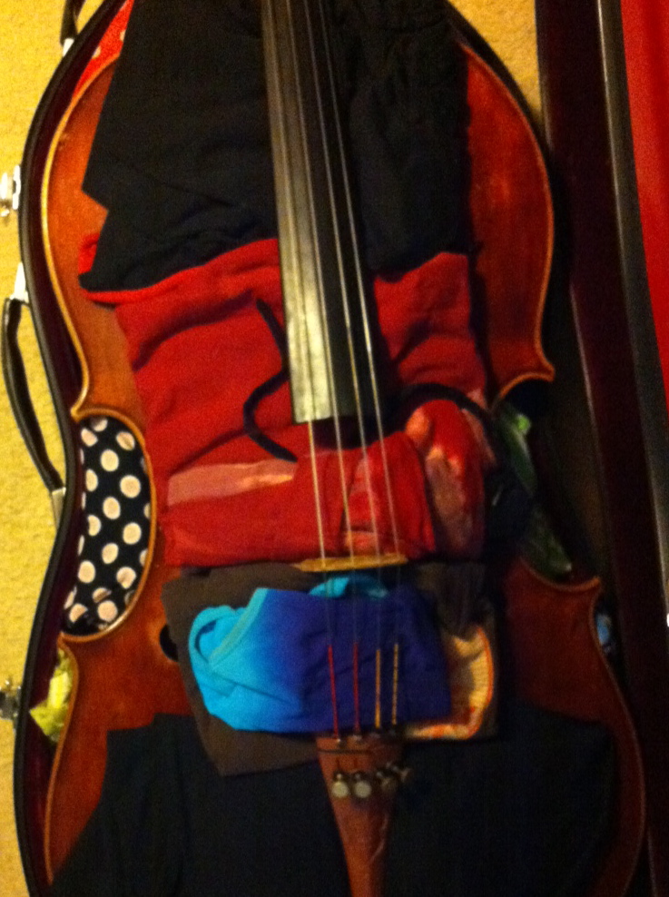 Every change in the position of the sun: Indian Cello: an inauguration