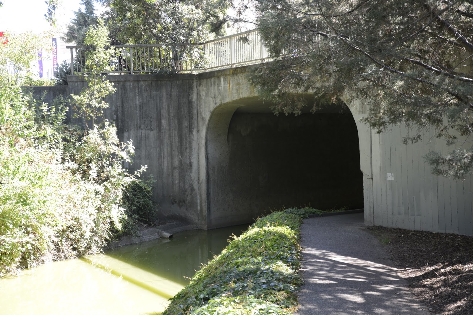 Bridge of the Week: Yolo County, California Bridges: UC Davis Bridges ...