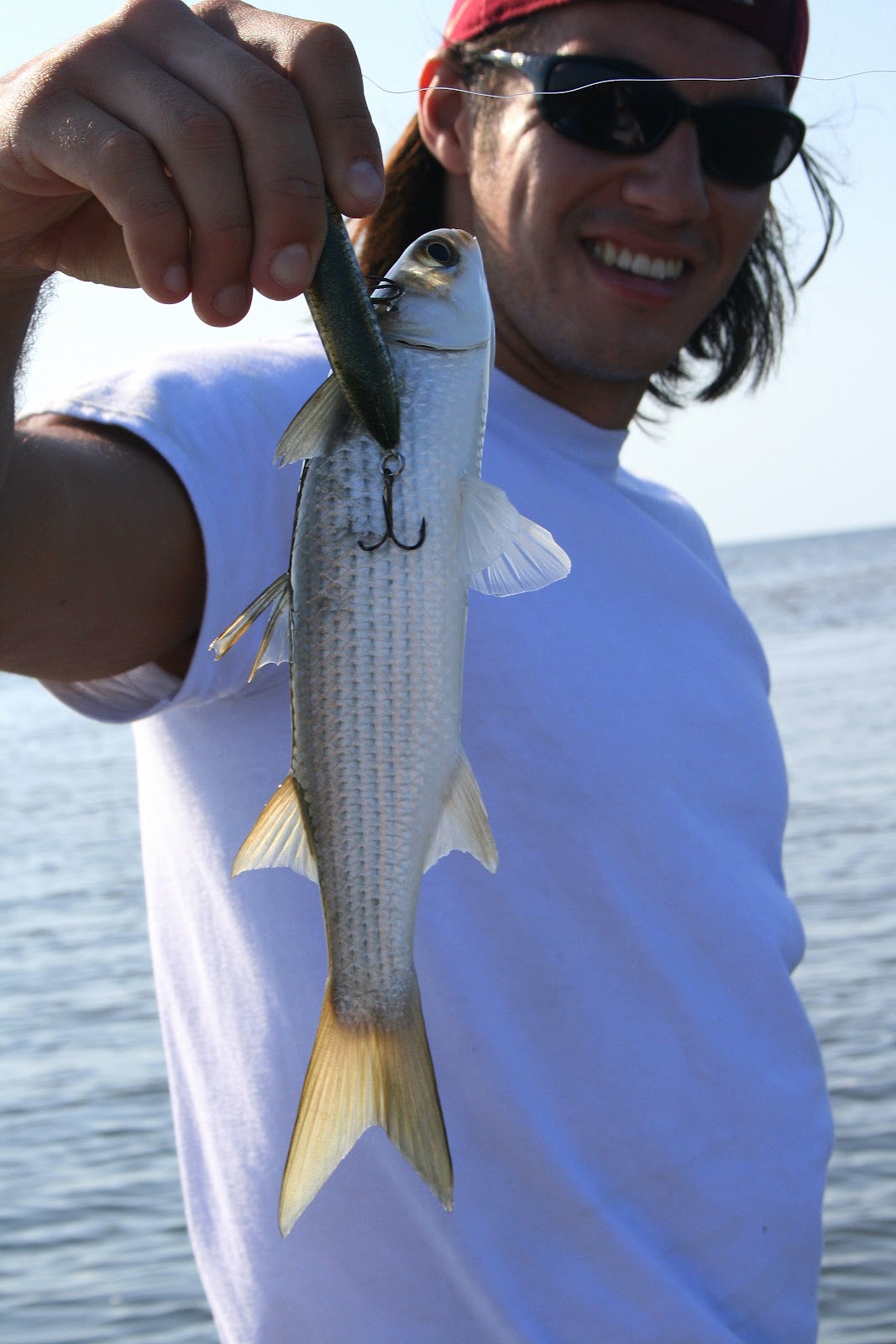 Florida Gheenoe Fishing: Springtime Stoney Bayou Dolphins (St. Marks, FL)