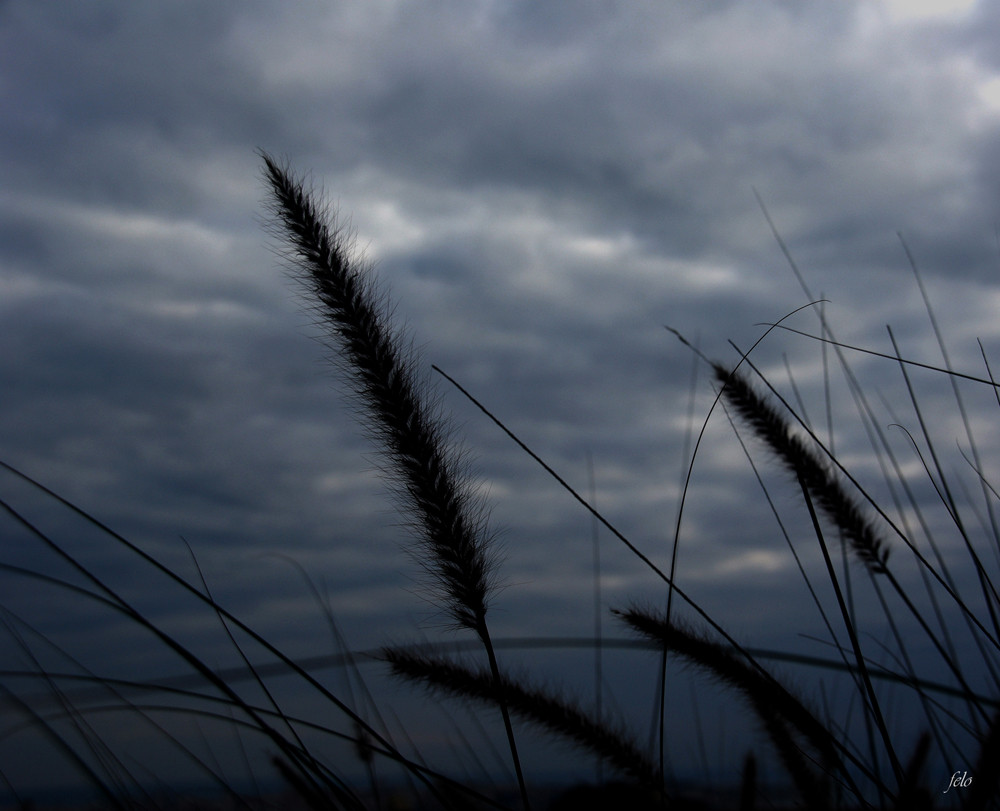 Diario de Paris: NUBLADO