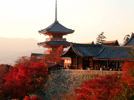 Tierra Pura de la Luz Serena: Alcanzando el Despertar: La Escuela ...