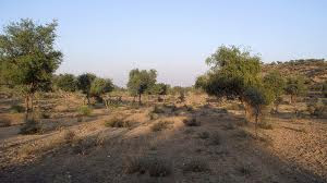 Muslim World: Climatic Regions of the Muslim world