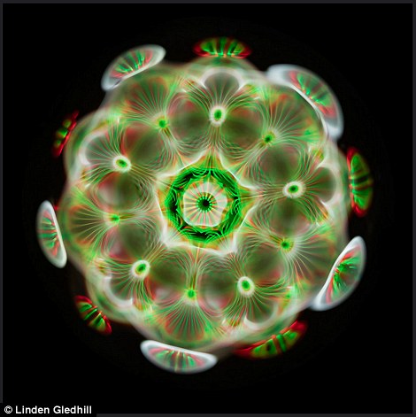 The Miracle Wave: What Does Sound LOOK Like? The Miracle Wave® Explores ...