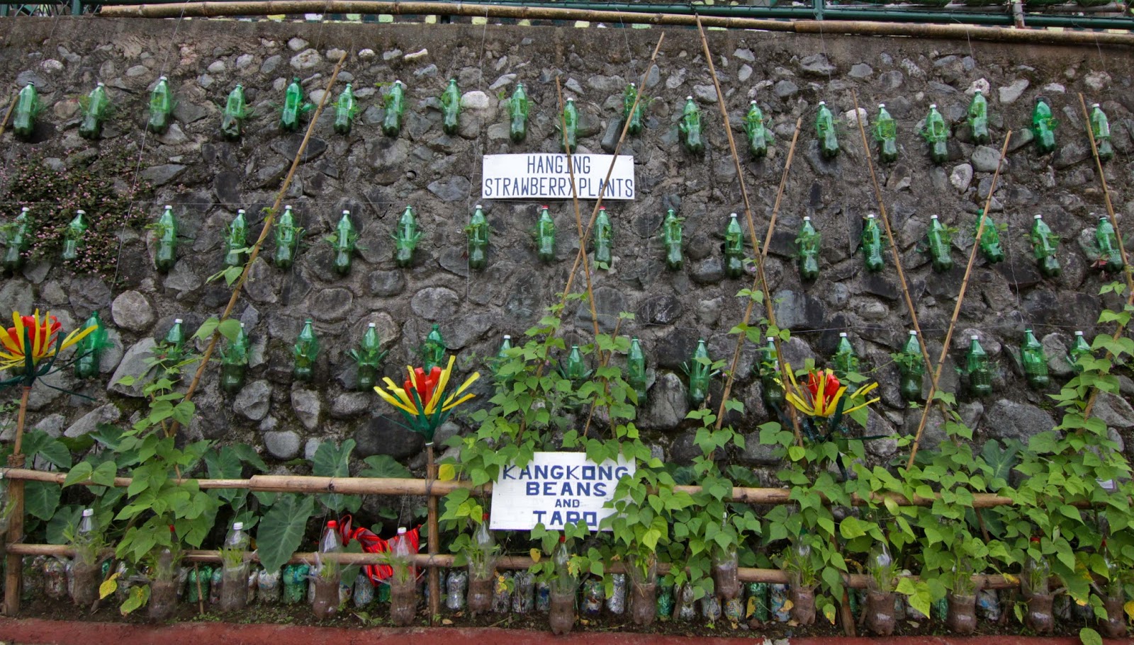 gulayan sa paaralan - philippin news collections