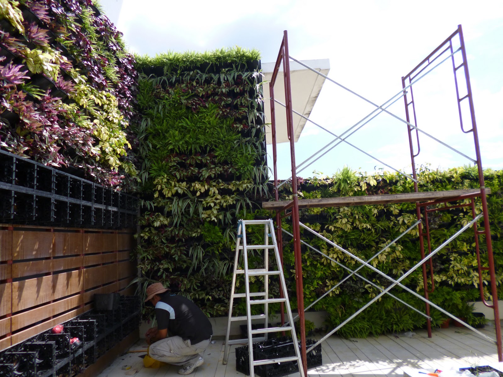 Technic Network Marketing (M) Sdn Bhd: Vertical Garden Planting System ...