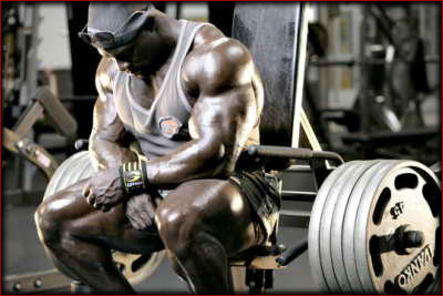 mr olympia 2012, mr olympia 2012 predictions, mr olympia 2012 winner ...