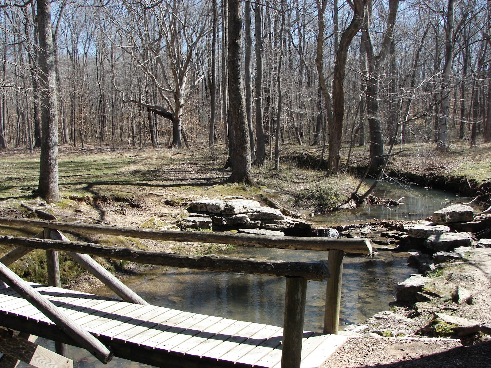 Our Country's Fiery Ordeal: Shiloh's Rhea Field