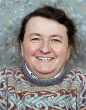 Ça se passe là haut: L'Anomalie des Rayons Gamma des AGN, un Signe de l ...