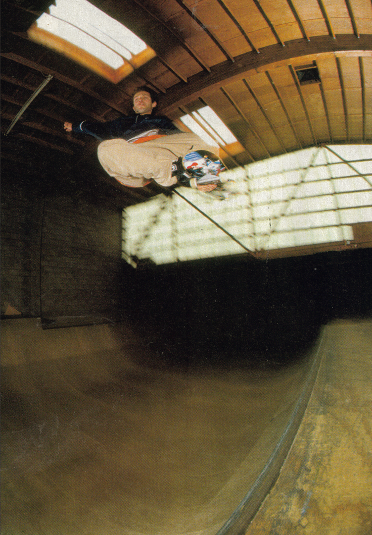 Stalefish 101 with Fernando – the predatory bird