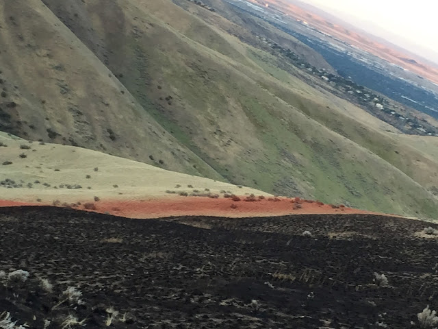 52 weeks of Trail Madness