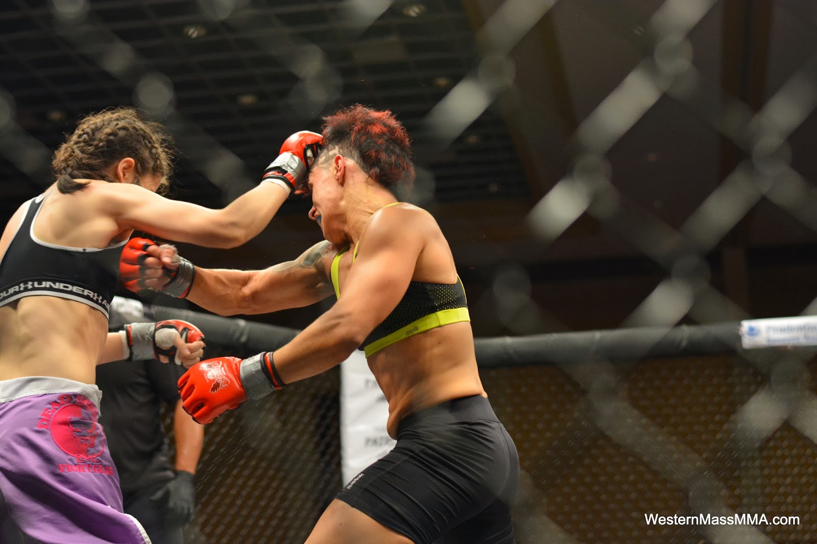 WesternMassMMA.com News, Reviews, Videos, Previews: CES 10/4/2013 Review