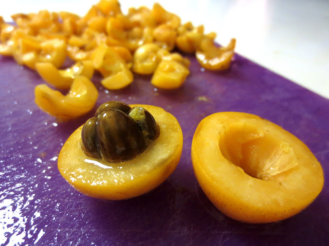 Princesses, Pies, & Preschool Pizzazz: Friday Pie-Day: Loquat Pie