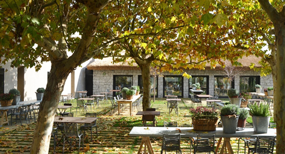 MbyM: Gastrorecomendación: Filandón