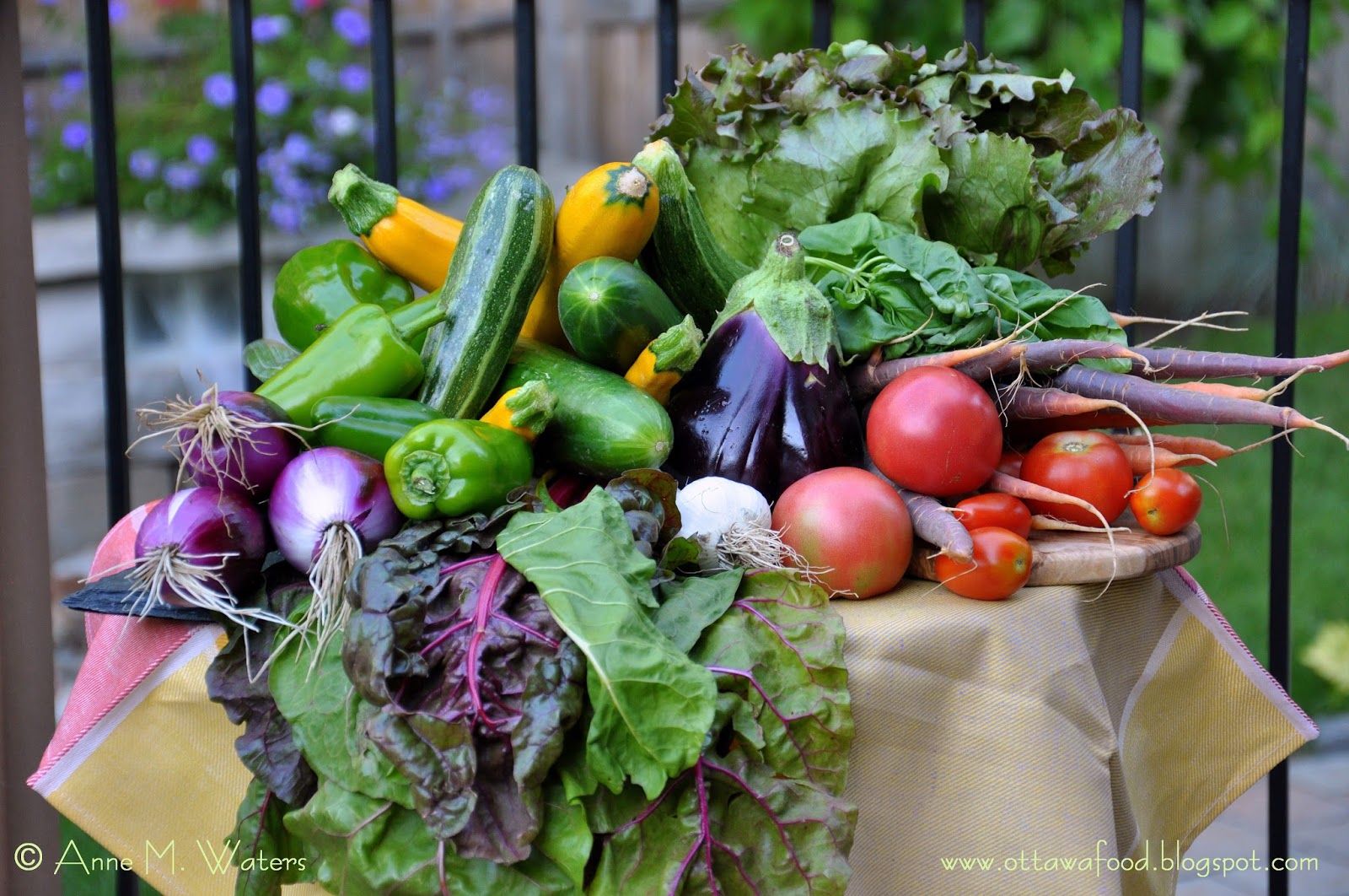 If Music be the Food of Love, Play On: Roots and Shoots Farm - 6th Week ...