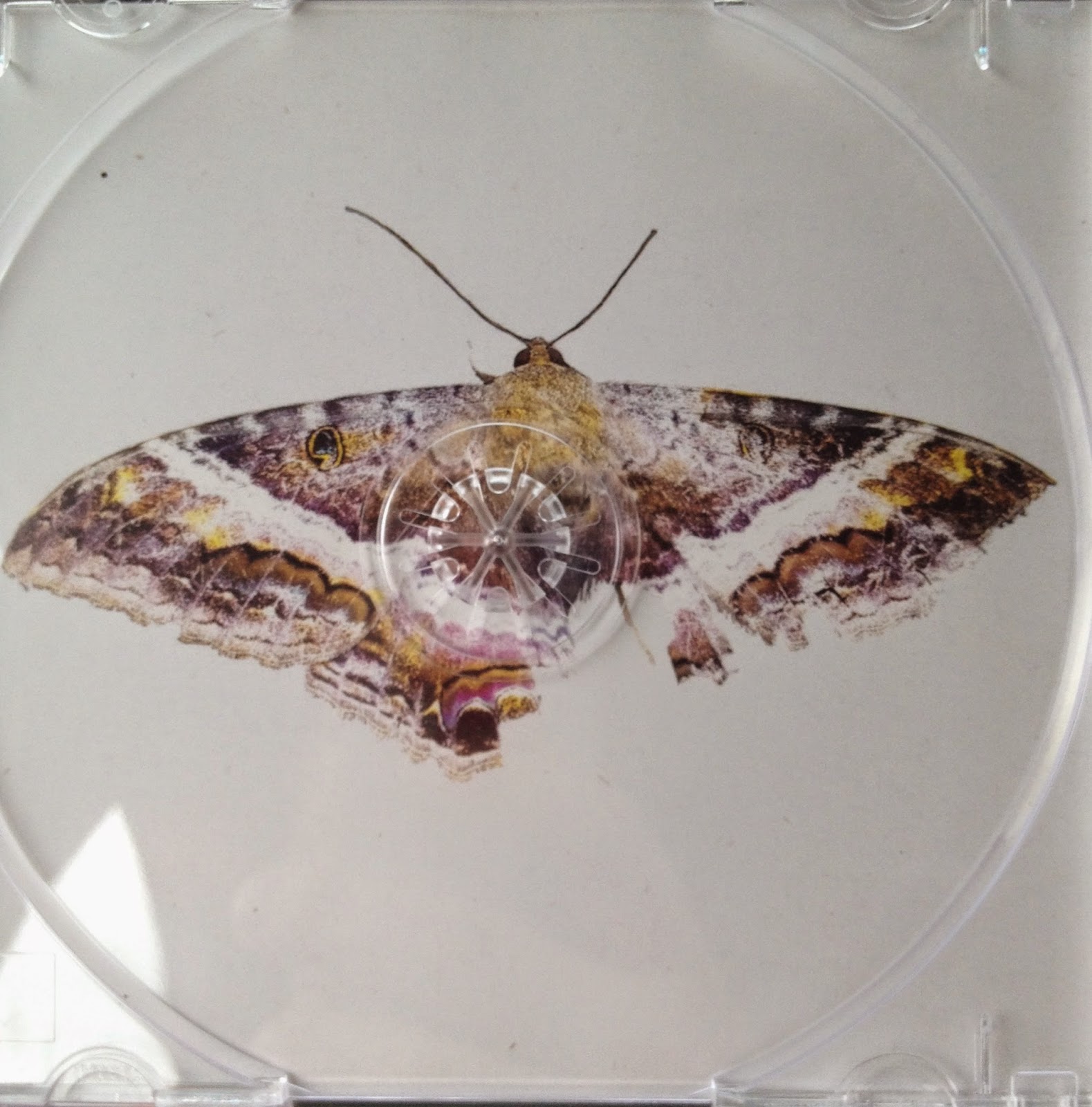 Made this tpab wallpaper for my phone, thought you guys might ...