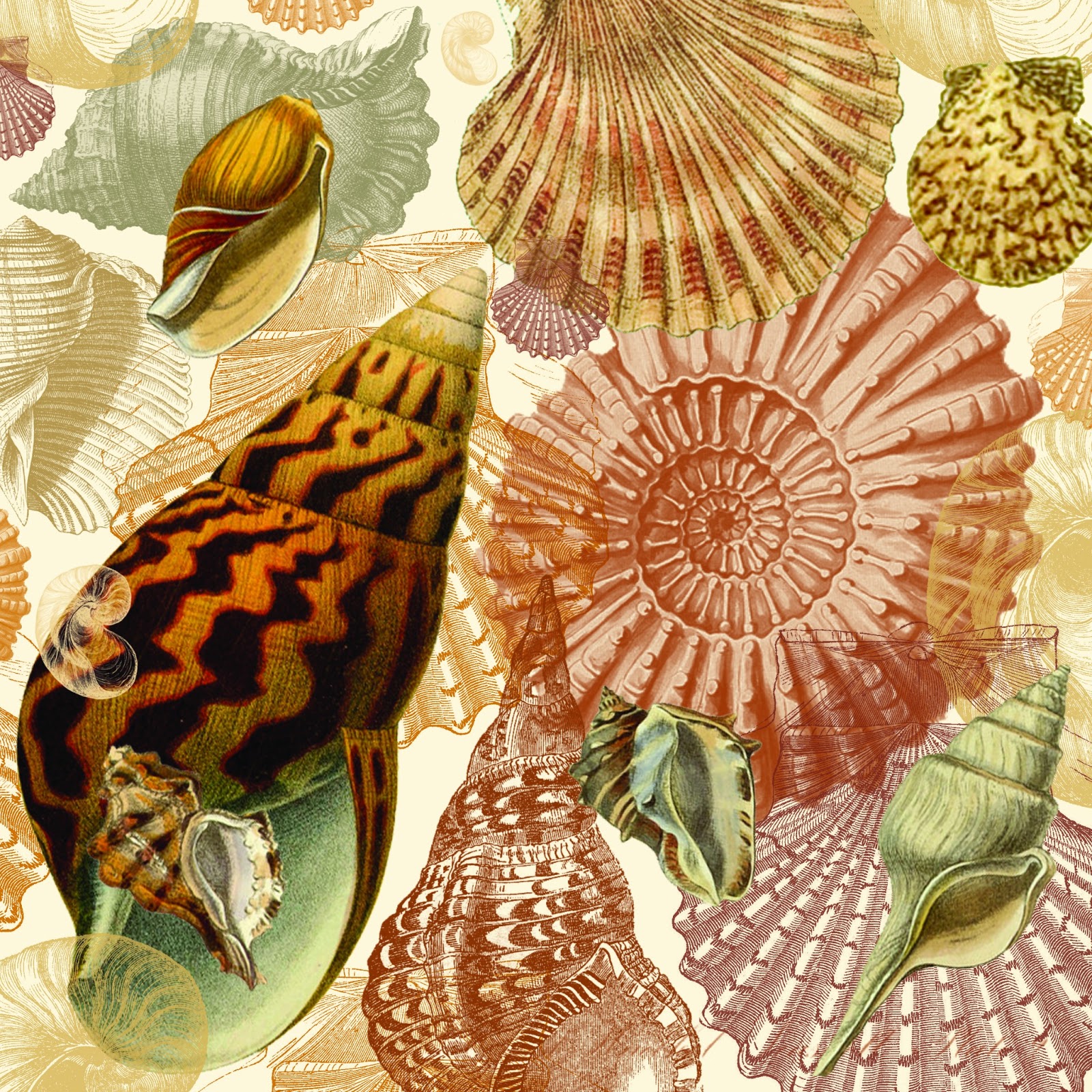 The Artzee Blog: Seashell Collage 12 x 12 Inch Printable