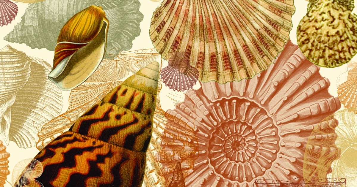The Artzee Blog: Seashell Collage 12 x 12 Inch Printable