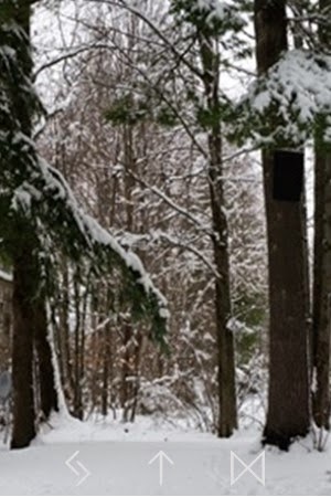 The Wonder of Runes: Winter Solstice Runes 2