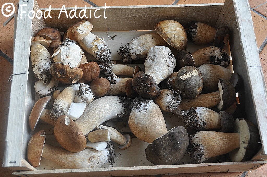 Food Addict: Cèpes attitude