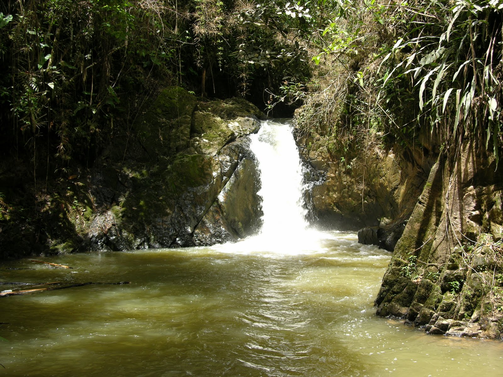Santa Rosa del Sur: Corregimientos
