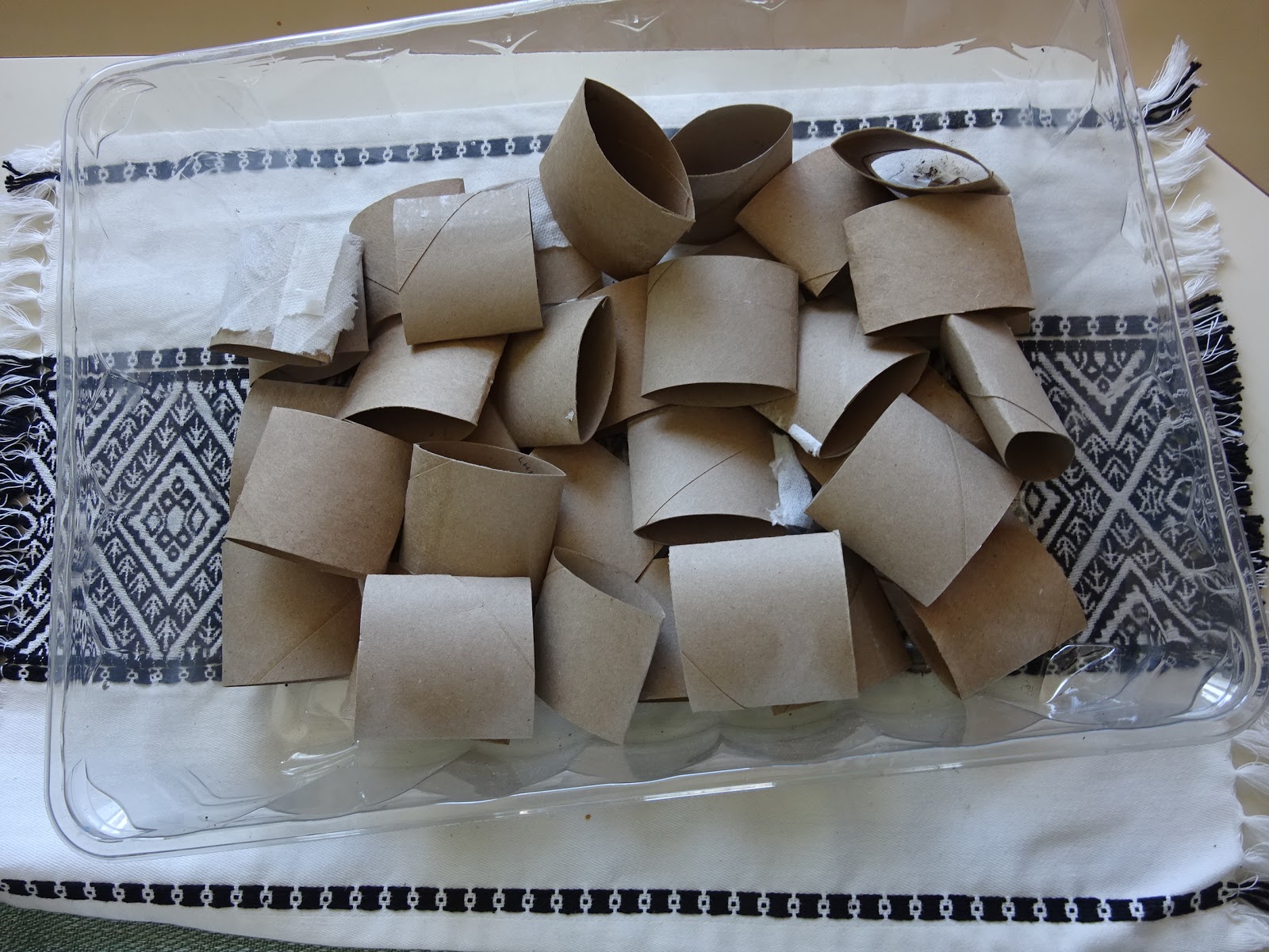 Casa Verde: Rasaduri in role de carton