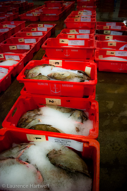 Through the Gaps! - Newlyn Fishing News: Mid week and John Dorys put in ...