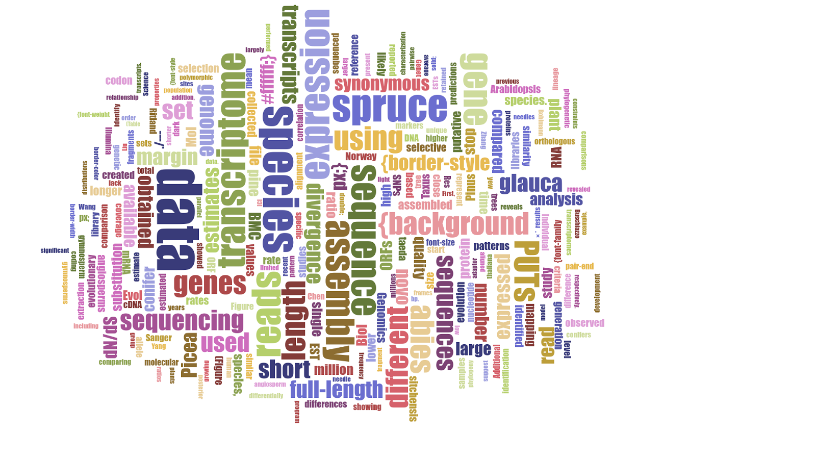 Syntaxus baccata: Word Clouds