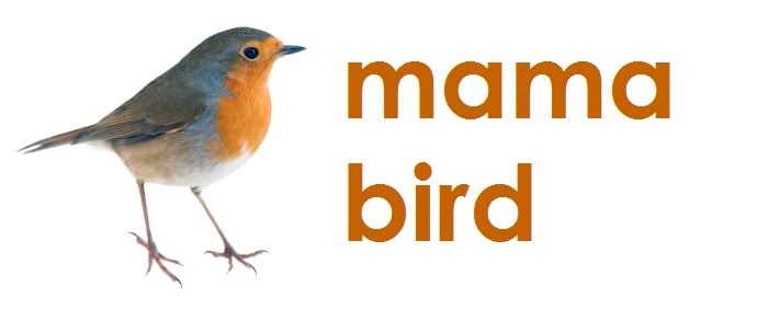 Modified Momma Reviews: Mama Bird - Fleece Soaker Review