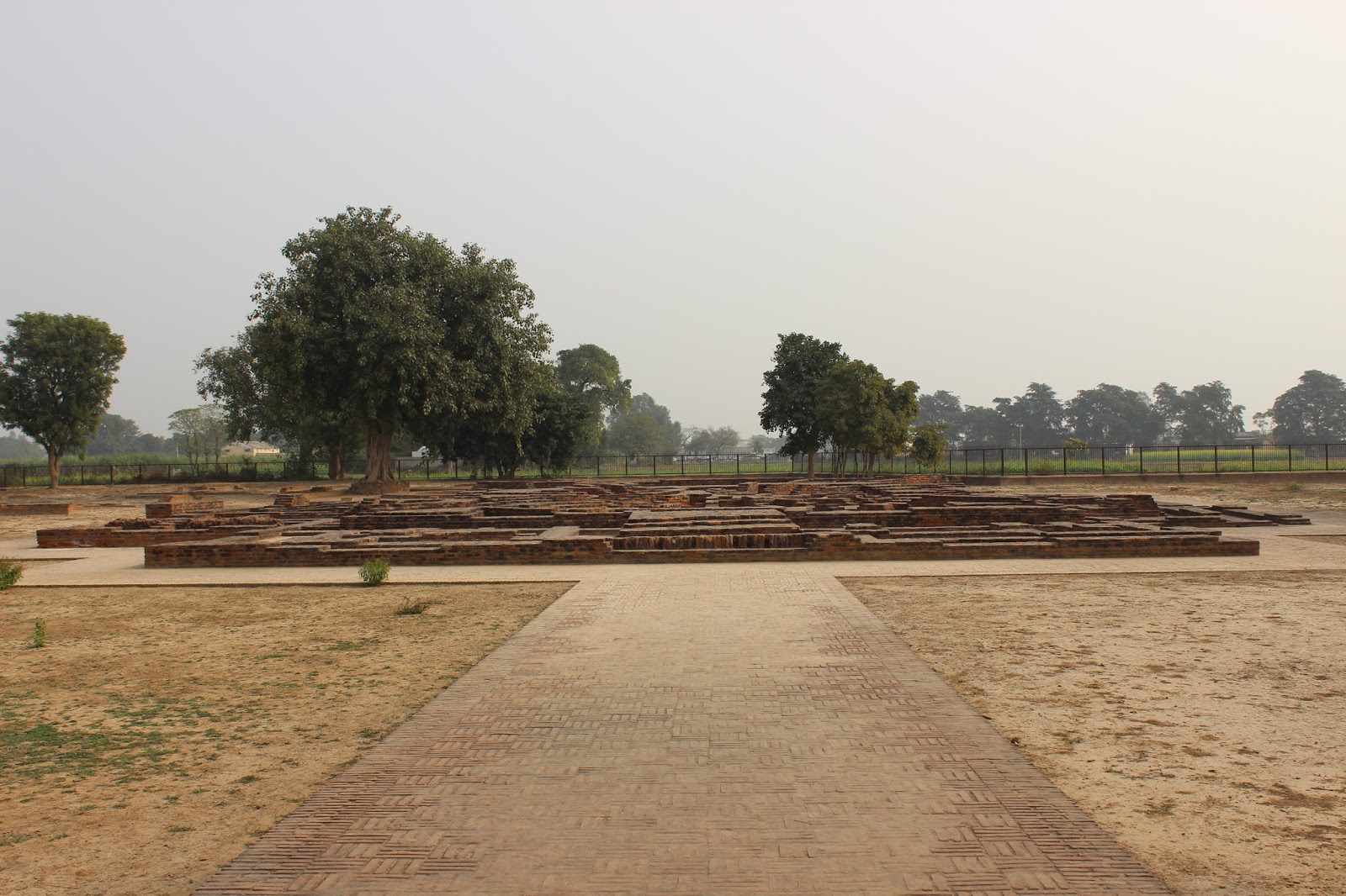 Climber & Explorer: Buddhist Vestiges of Sanghol, Punjab