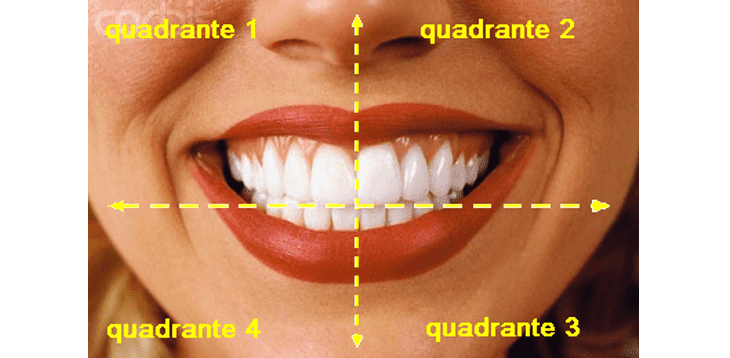 Blog do Zé Lopes: DIAGNOSE- DICA DE SAÚDE- RADIOGRAFIA ODONTOLÓGICA