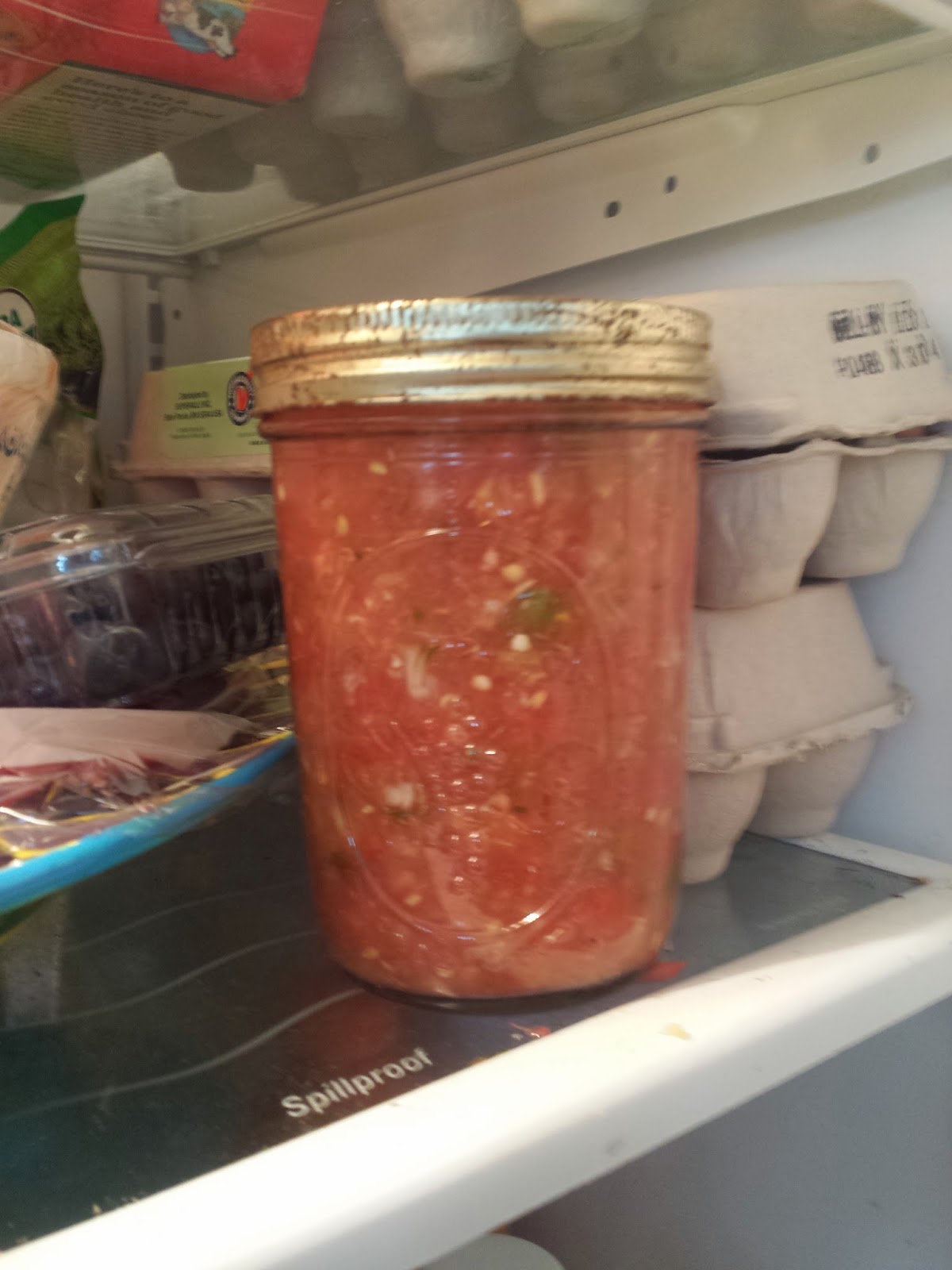 Who's your Trinidaddy? : Day 101: Alsalsa-Raine (The official salsa of ...