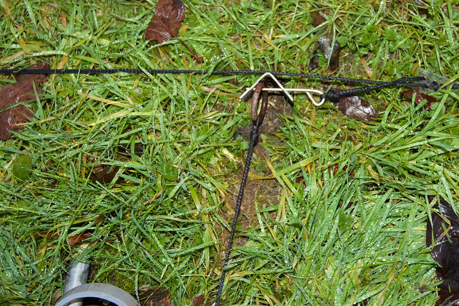 Charlie Sargent's bird ringing: Whoosh Net now operates remotely