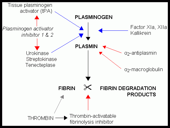 Thrombolytic drugs |Pharmacology