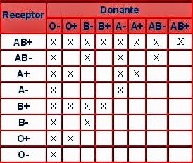 Tipos de sangre y sus características principales