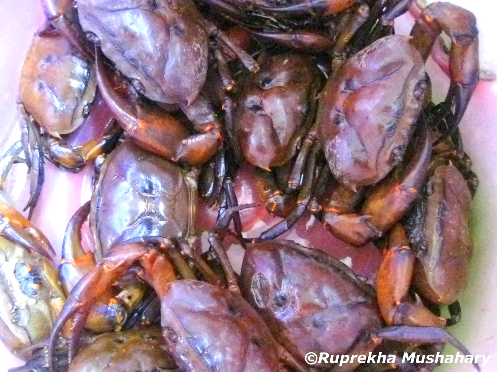 Feelings: Crabby Delight