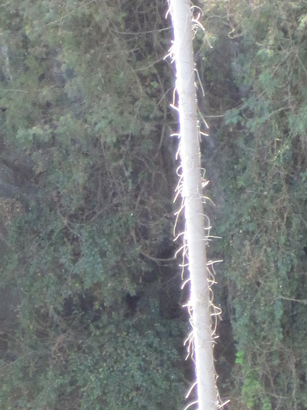 Norb's Around the World Odyssey: The smoke which thunders