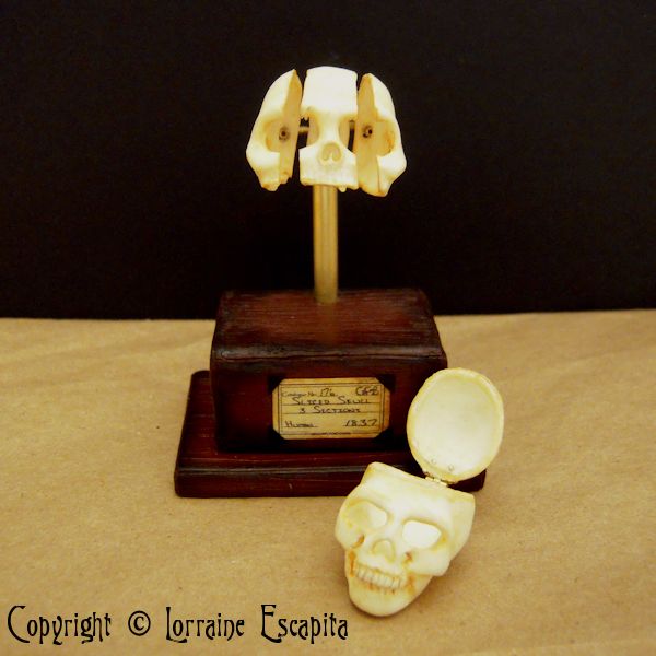 Dollhouse Mini's by Dfly Creations: Human Skull Projects
