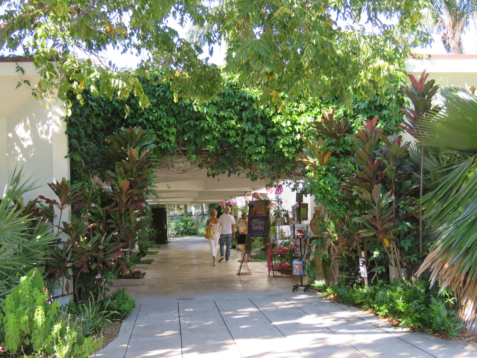 Bonao Internacional: GALERIA : JARDIN BOTANICO DE MIAMI BEACH , FLORIDA