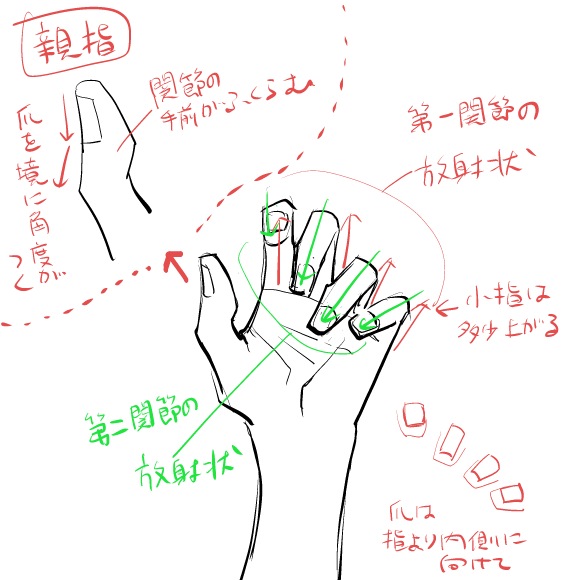Animopus: Hand Poses Galore!