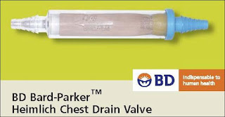 The Sidebar: Dept. of Corrections: University of Delaware student paper ...